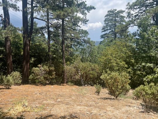 Idyllwild Realty the best Real Estate business in Idyllwild!