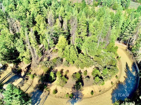 Trinity County Real Estate - Trinity Alps At Trinity Alps Realty
