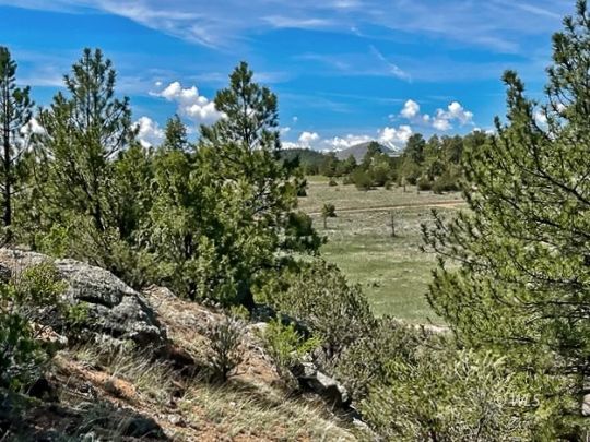 Westcliffe Real Estate