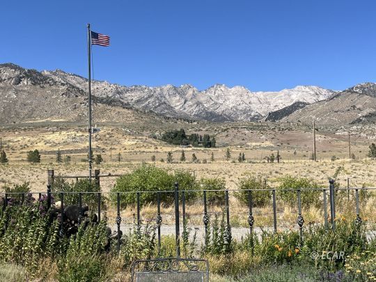 Northern Nevada Real Estate - Bottari & Associated Realty, Inc