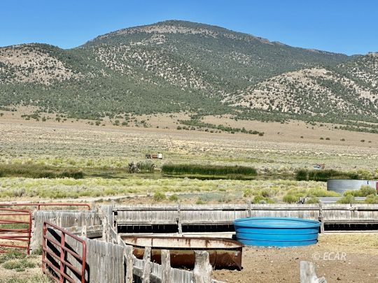 Nevada Ranches for sale, horse property, cattle ranches, hunting land