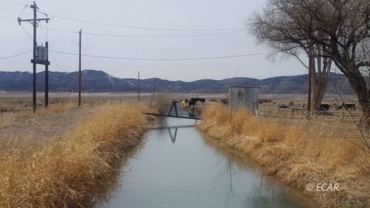 Nevada Ranches for sale, horse property, cattle ranches, hunting land