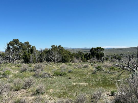 Featured Lots & Land Listings